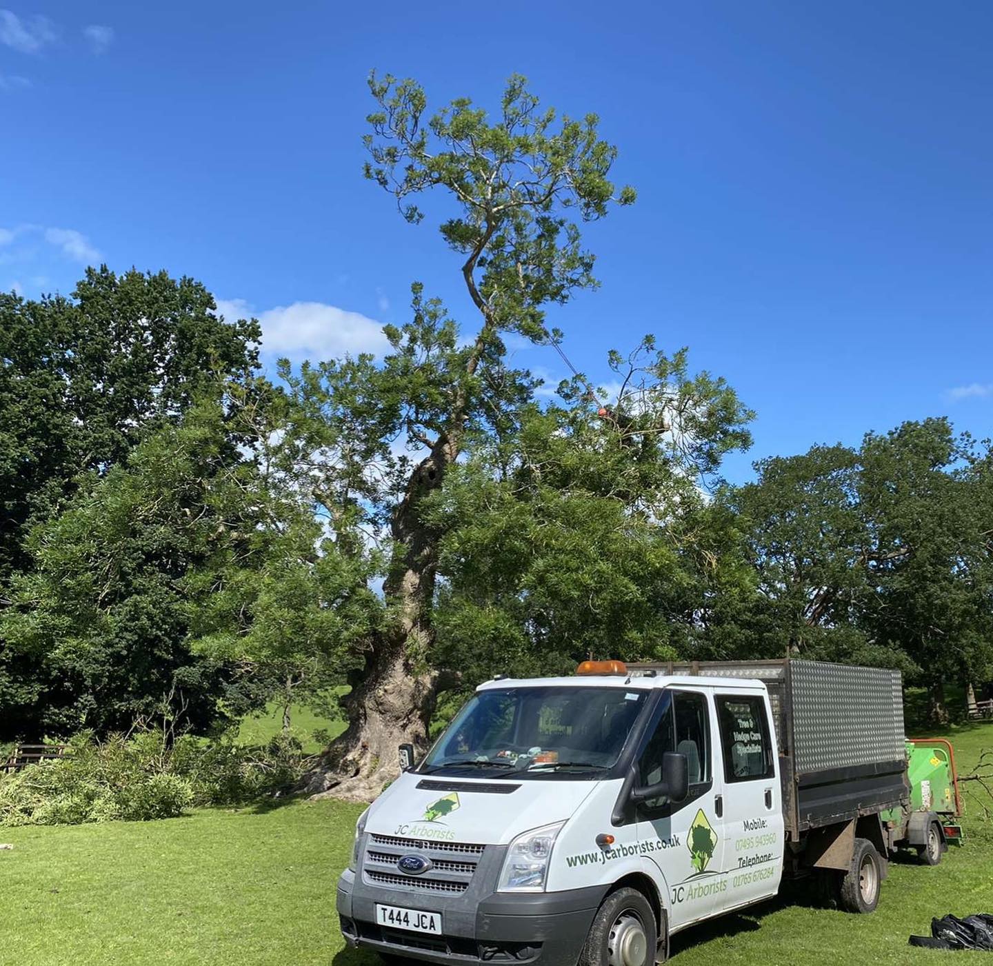 Tree Surgeons Leeds JC Arborists Experts in Tree Care & Tree Removal